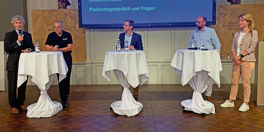 Swissgrid-Chef warnt vor drohendem Risiko