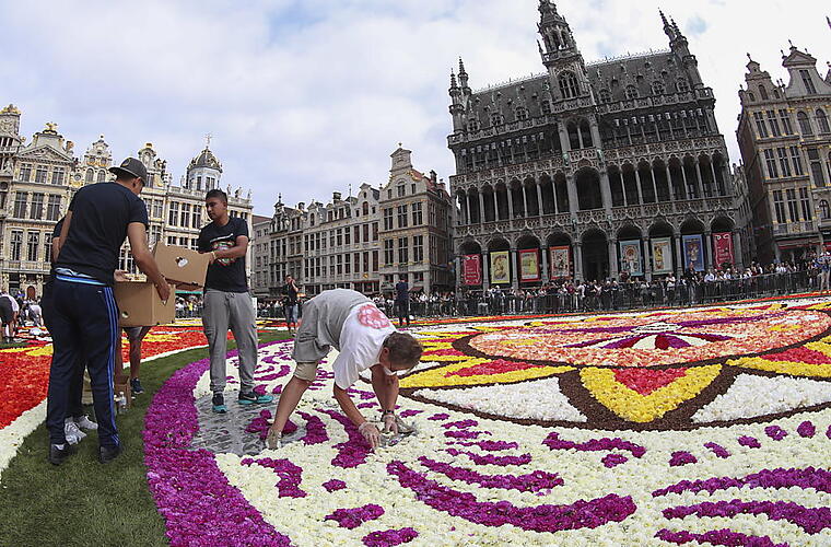 Blumenteppich schmückt Brüssel