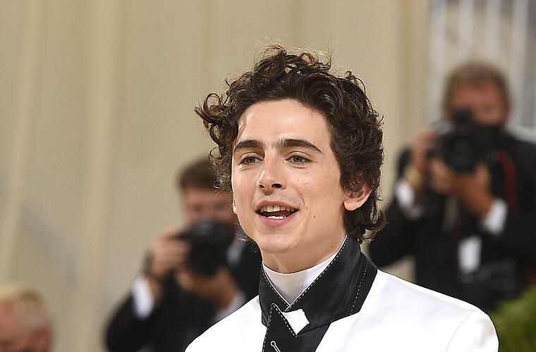 Timothée Chalamet über Hollywood-Karriere