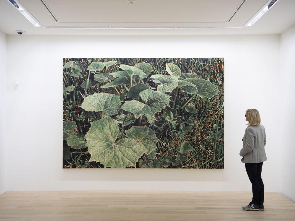 Doppelte Premiere im Museum Franz Gertsch | Kultur | Bote der Urschweiz