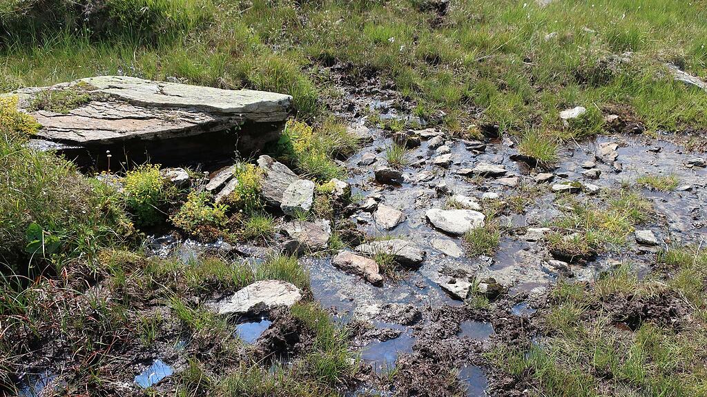 Eine Wasserquelle im Gebiet Vordere Seeplanggen.