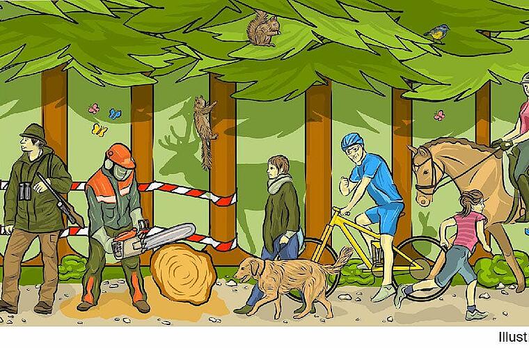 Der Dichtestress erreicht die Zuger Wälder