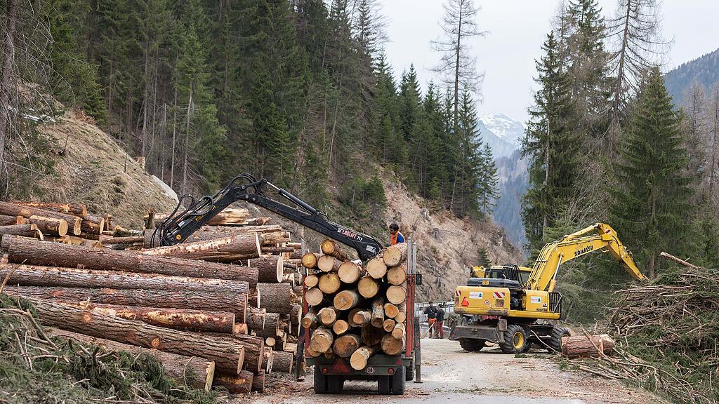 Vor allem in steilen Gebieten in den Alpen ist die Bewirtschaftung ...