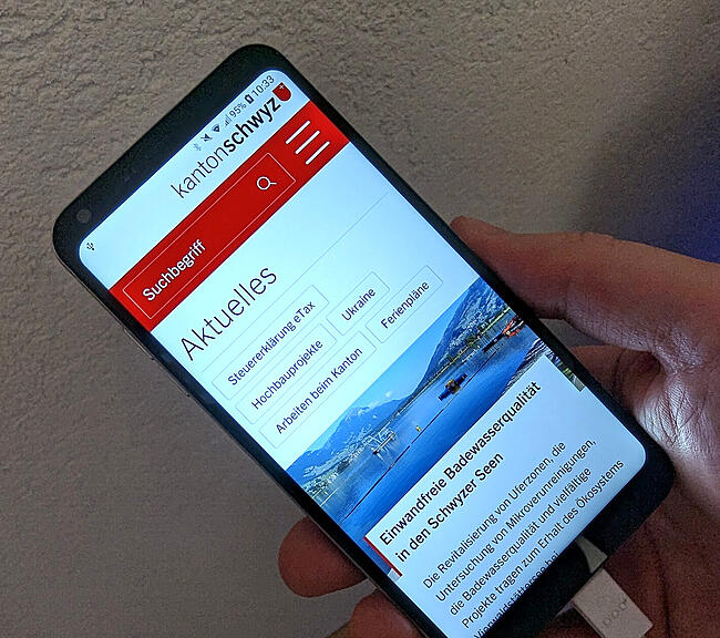 Das ist die neue Webseite des Kantons