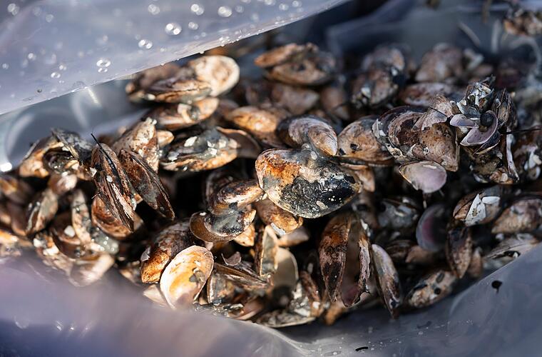 2064004_eawag-wasserforschungsinstitut-aquatische-oekologie-eth ...