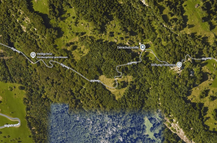 Rigi: Tödlicher Unfall – 66-Jähriger stürzt in den Tod