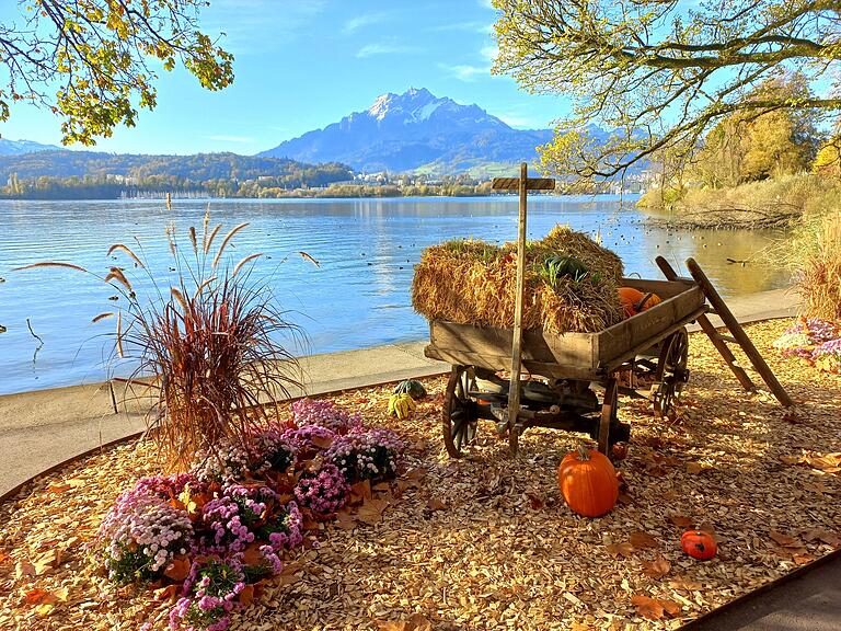 Die schönsten Leserbilder des Monats November