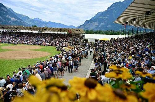 10 x 2 Tickets für gedeckte Tribünenplätze am ISAF 2026 zu gewinnen