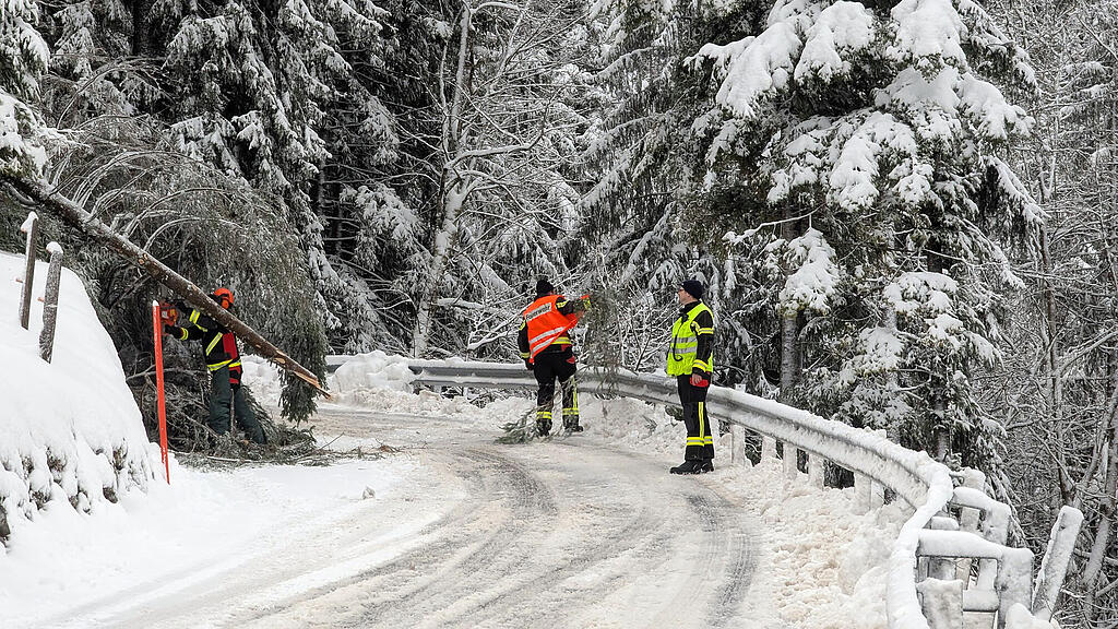 Starker Wind und schwerer Nassschnee legten einen Baum an der ...