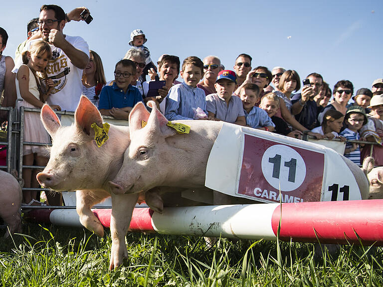 Kilbi-Zeit im Kanton Freiburg