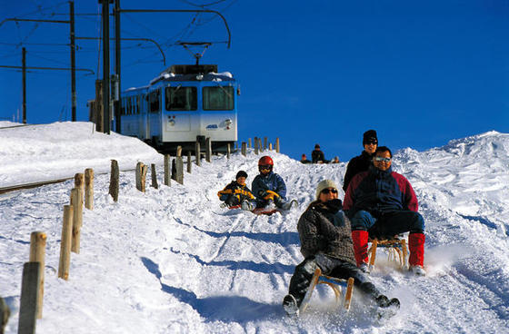 Schon diesen Winter auf neuer Piste rodeln