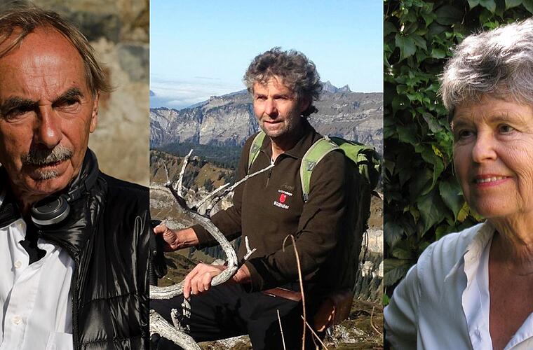 Von Meinrad Inglin über Chilbi bis hin zu Viehmarkt