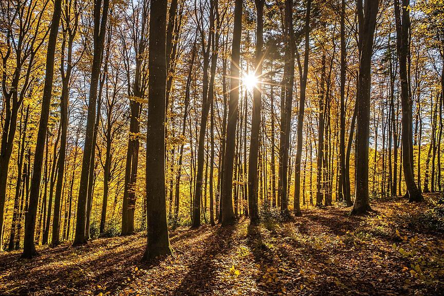 Die schönsten Leserbilder des Monats November – Teil 3