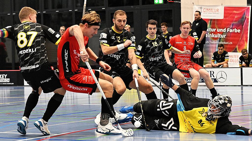 Die Vipers, hier mit Cedric Heinzer (links, rotes Dress) und Loris ...