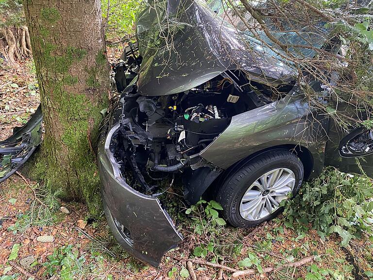 Autofahrer nach Kollision mit Baum erheblich verletzt