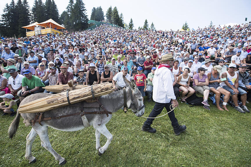 Die schönsten Bilder vom Bergfest