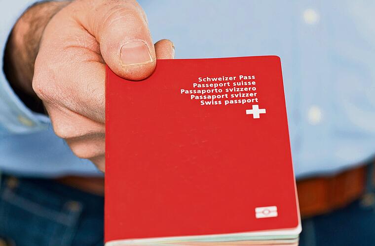 1833568_pass-schweizer-pass-biometrischer-pass-dokument-reisedokument ...
