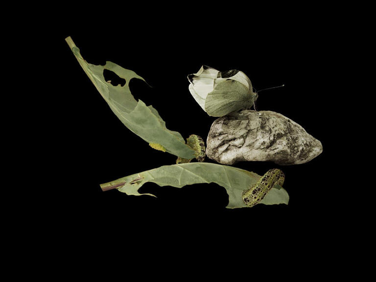 Retroperspektive im Kunstmuseum Appenzell